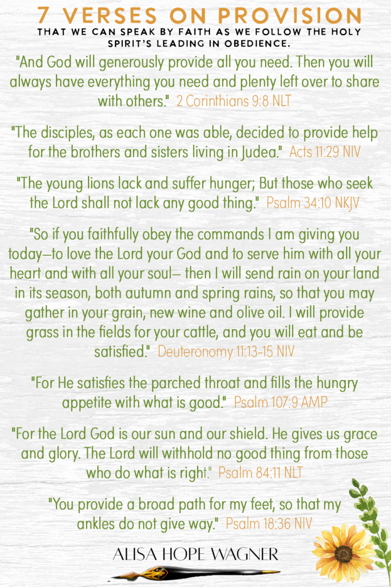 Our Place in God through Jesus: (9) Provision - Alisa Hope Wagner