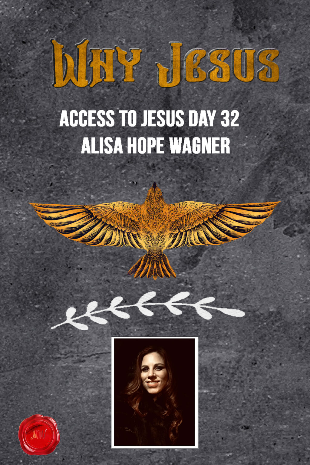 Access to Jesus: Why Jesus 32 - Alisa Hope Wagner